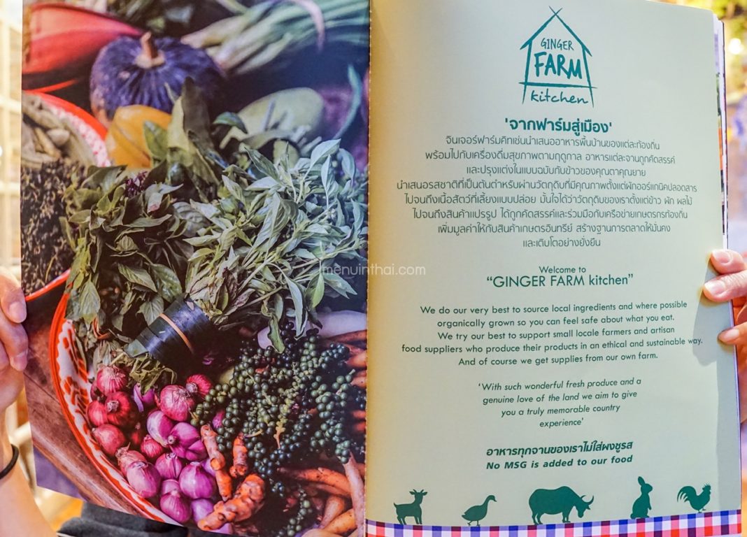 เมนู ราคา Ginger Farm Kitchen เชียงใหม่ - menuinthai.com