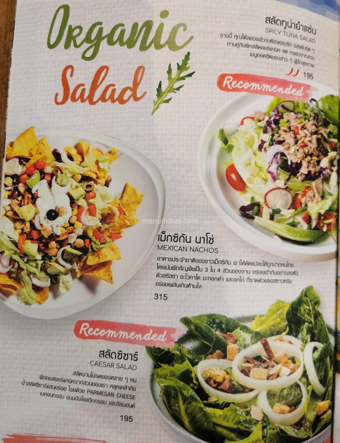 เมนู ราคา โอ้กะจู๋ (Ohkajhu) ร้านสลัดออร์แกนิค - menuinthai.com