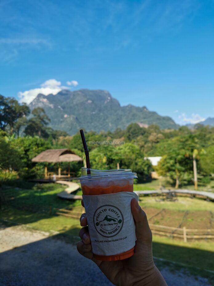 เมนู ราคา Pronto Coffee เชียงดาว - menuinthai.com
